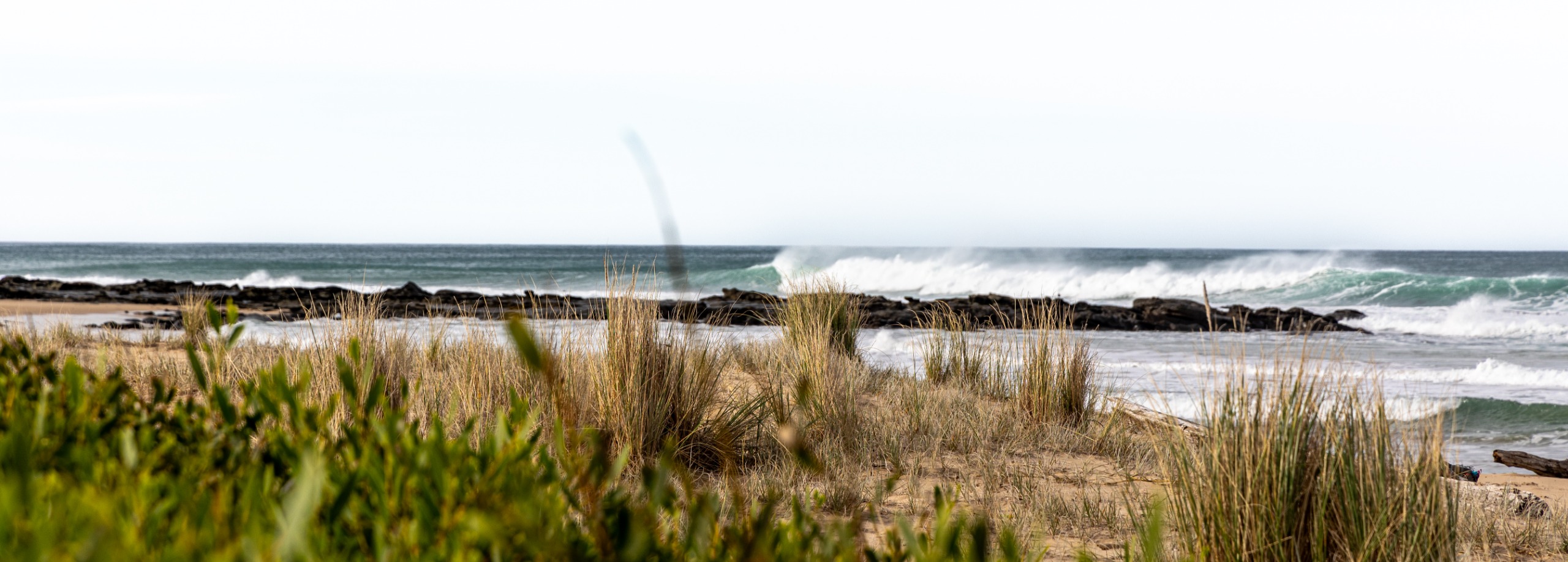 Apollo Bay Coastal Projects Open Day | Your Great Ocean Road
