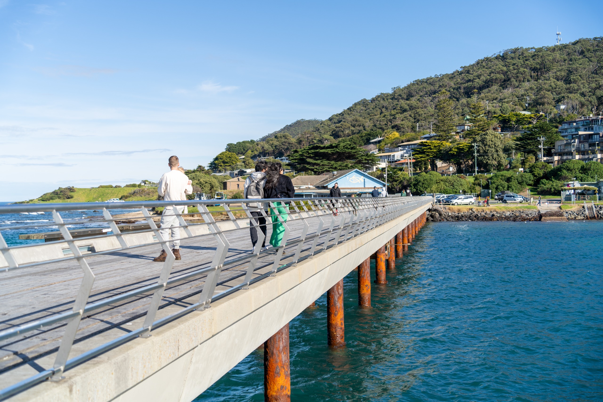 2024 Lorne Pier User Experience Survey | Lorne Pier User Experience ...